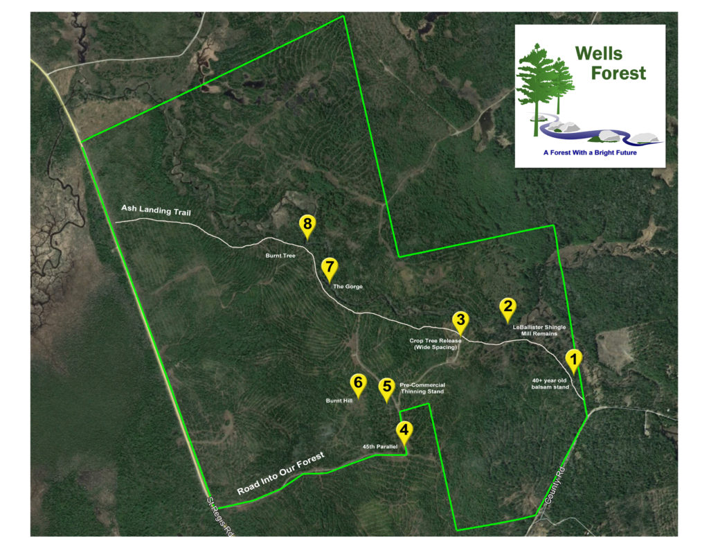 Wells Forest Map – Wells Forest & Observatory